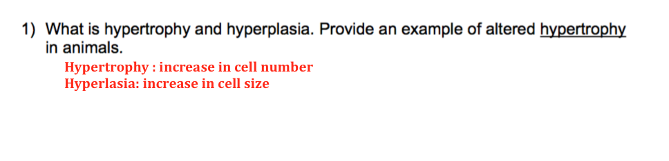 Solved 1) What is hypertrophy and hyperplasia. Provide an | Chegg.com