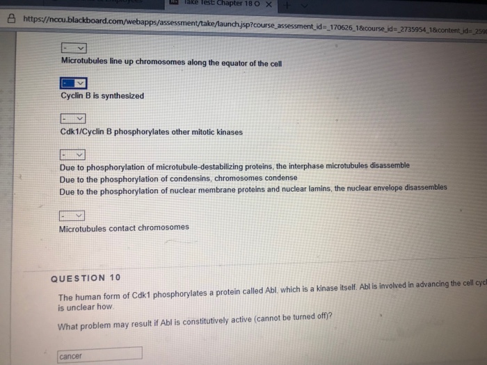 Solved tps/ binary fission QUESTION9 Put the events of | Chegg.com