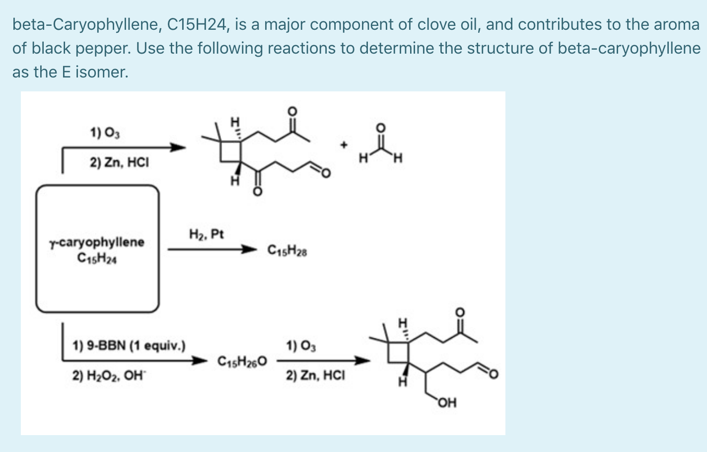 Solved beta-Caryophyllene, C15H24, is a major component of | Chegg.com