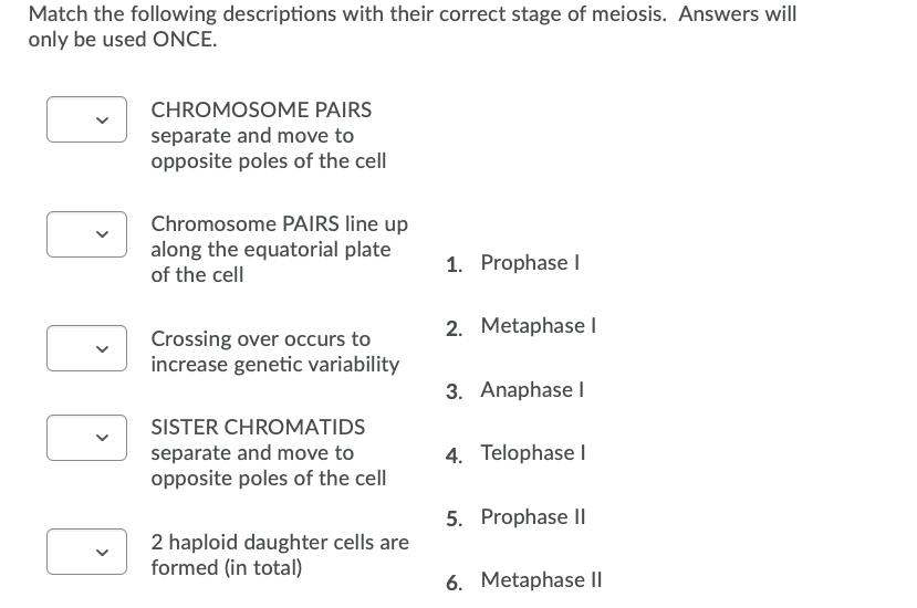 Solved Match the following descriptions with their correct | Chegg.com