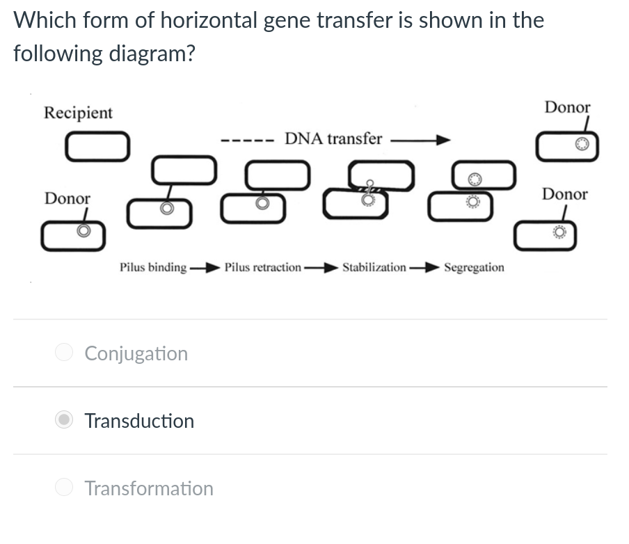 Solved Which form of horizontal gene transfer is shown in | Chegg.com