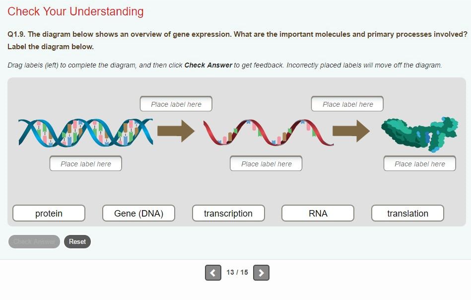 Solved Check Your Understanding Q1.9. The diagram below | Chegg.com