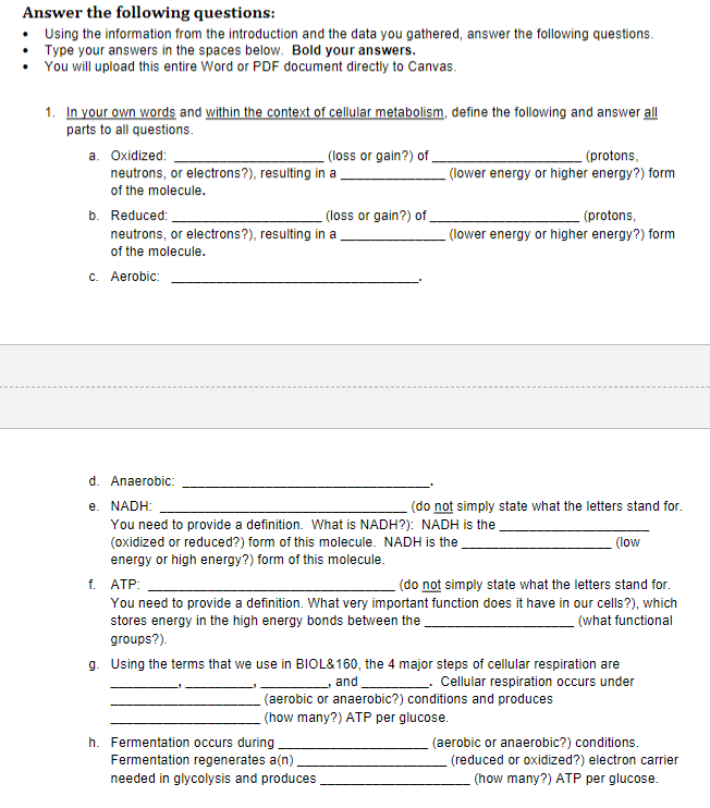 Solved Answer the following questions: - Using the | Chegg.com