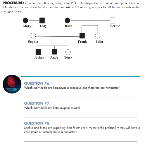 Solved PROCEDURE: Observe the following pedigree for PTC. | Chegg.com