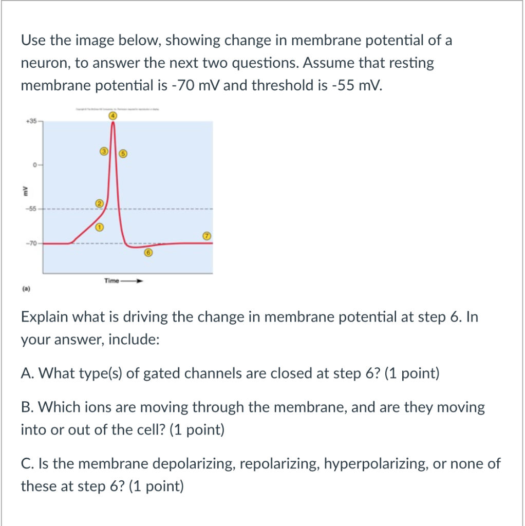 Solved Use the image below, showing change in membrane | Chegg.com