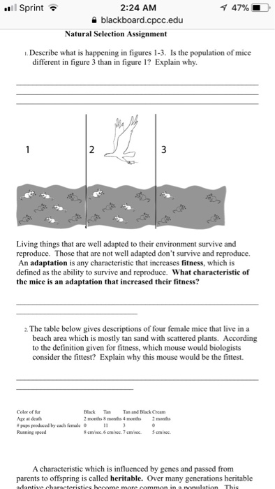 Solved 2:24 AM 슐 blackboard.cpcc.edu .'ll Sprint 47% , | Chegg.com