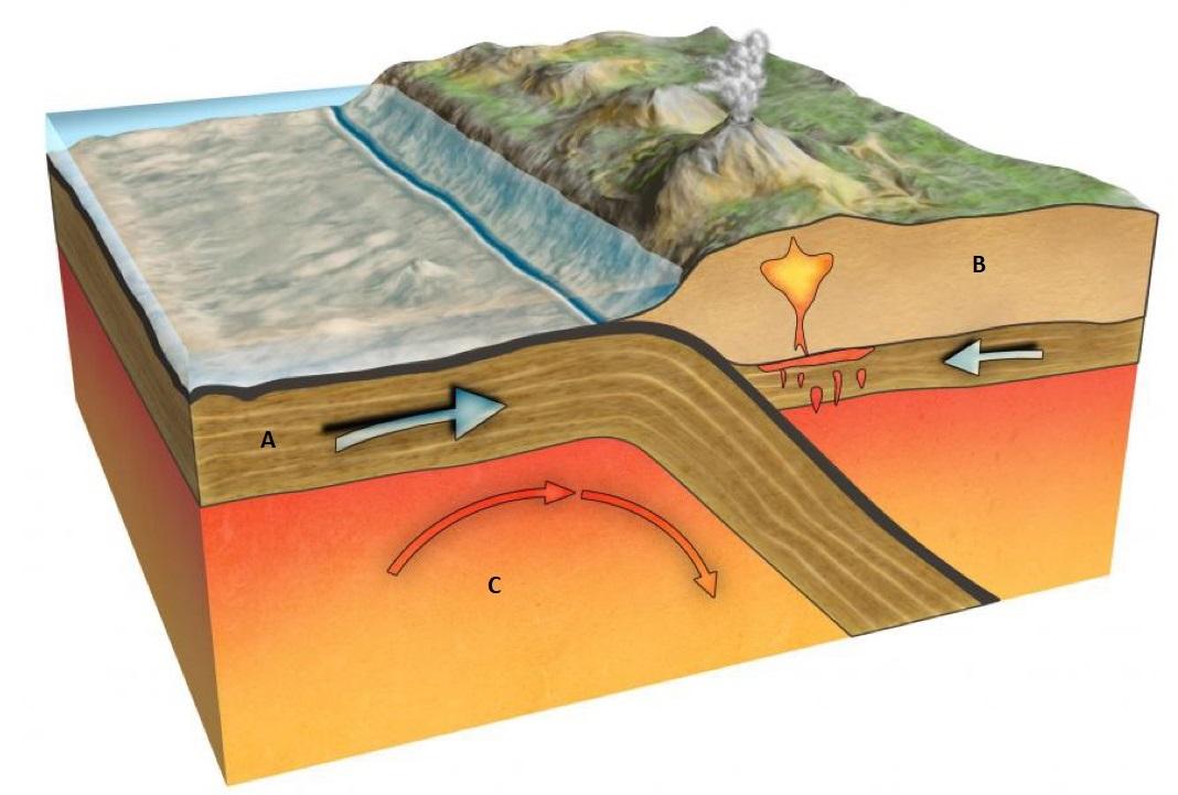 Solved 1: (29) 1. If a coarse grain, intermediate lava | Chegg.com