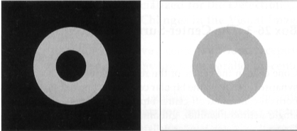 Solved B) Describe the neural mechanism for lateral | Chegg.com