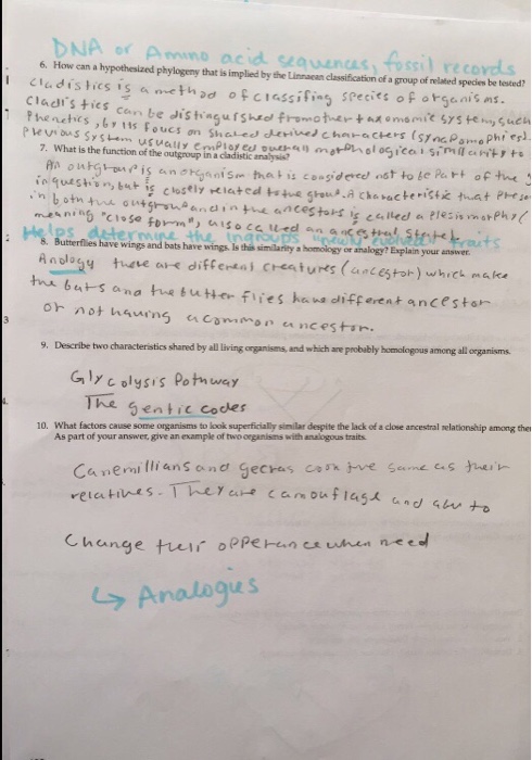 Solved Please answer all questions. | Chegg.com