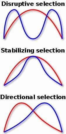 Solved What are the differences between disruptive, | Chegg.com