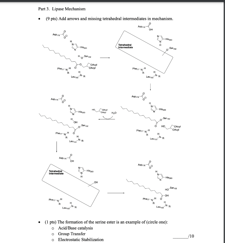 Solved Part 3. Lipase Mechanism (9 pts) Add arrows and | Chegg.com
