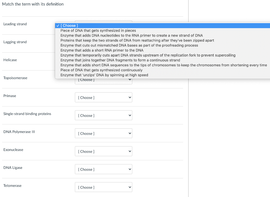 Solved Match the term with its definition Leading strand | Chegg.com