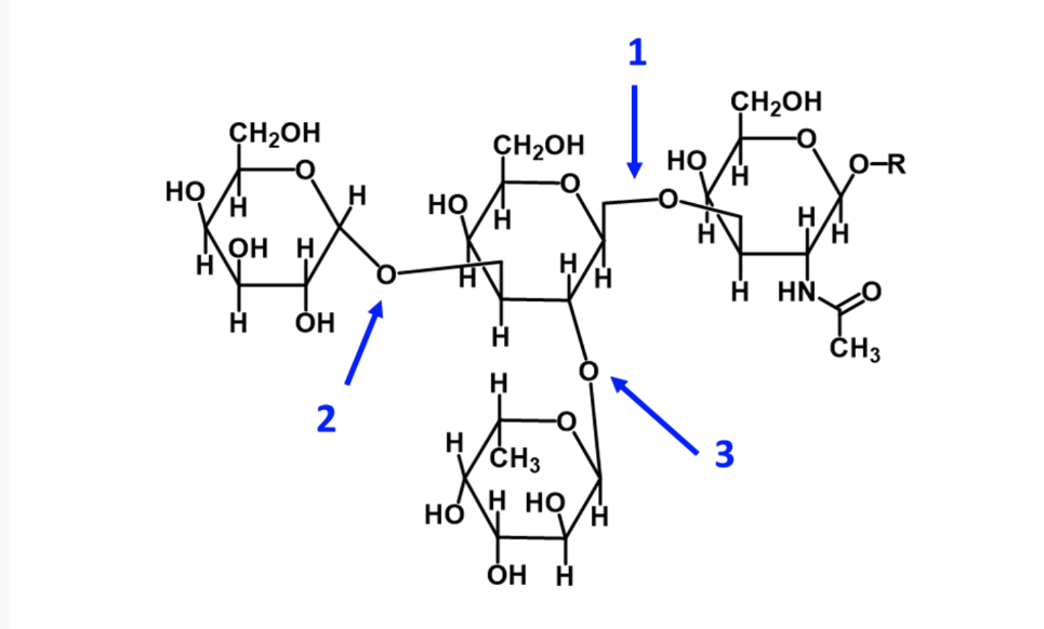 Solved Identify the glycosidic bond labeled #1:Identify the | Chegg.com Solved Identify the glycosidic bond labeled #1:Identify the | Chegg.com