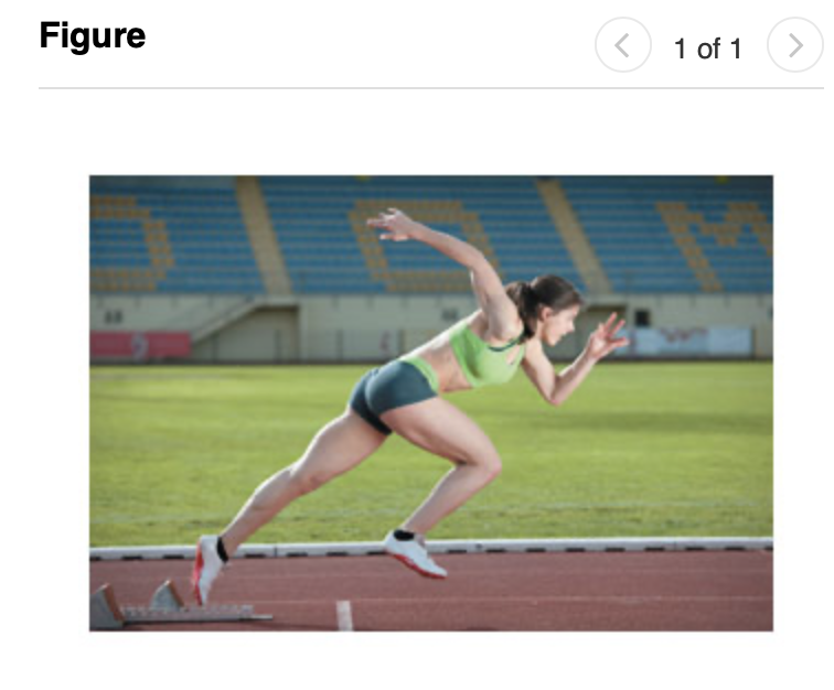 Solved The 60 kg runner shown in (Figure 1) exerts a | Chegg.com