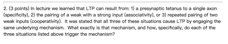 Solved 2. (3 points) In lecture we learned that LTP can | Chegg.com