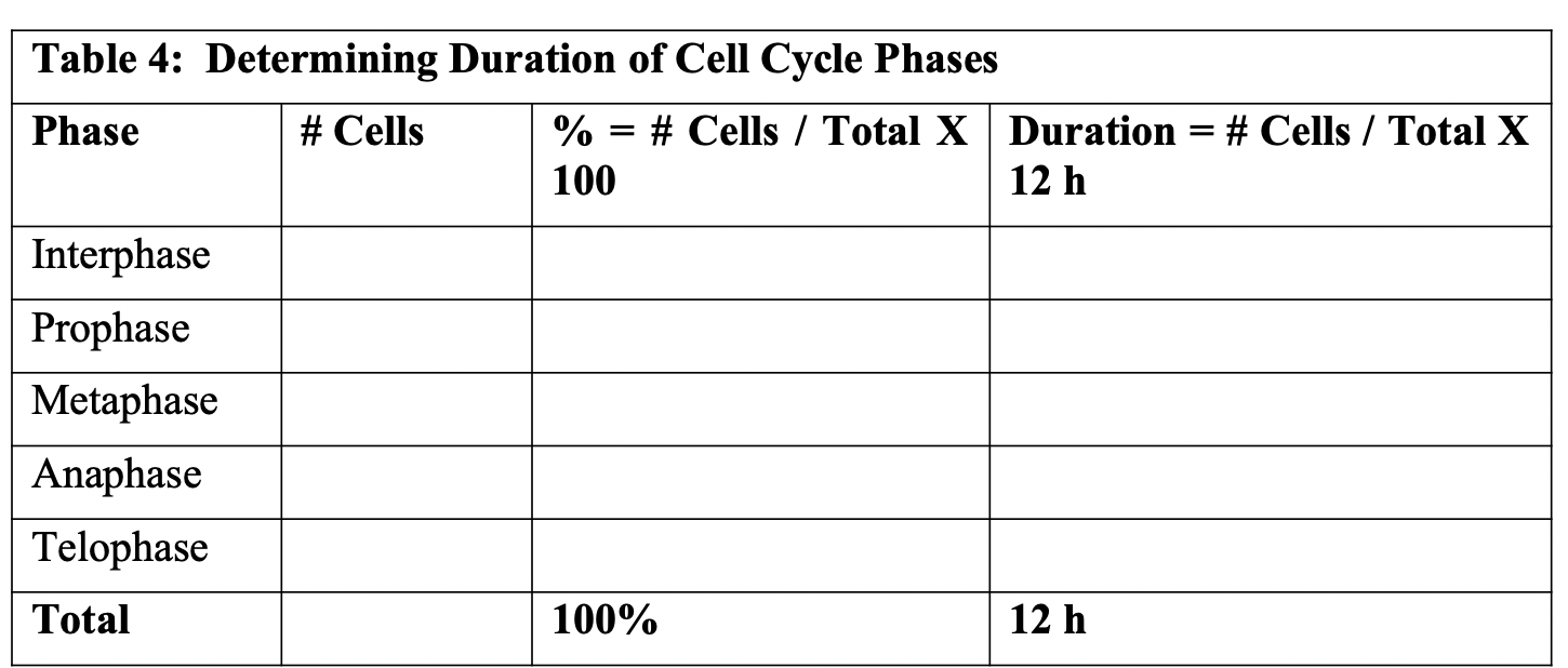 Solved 3a. Estimate the duration of each stage of the cell | Chegg.com