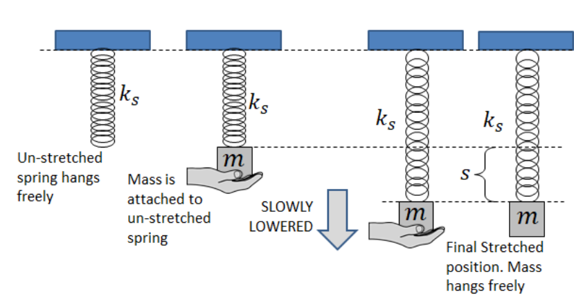 Solved A spring, stiffness constant, ks hangs vertically | Chegg.com