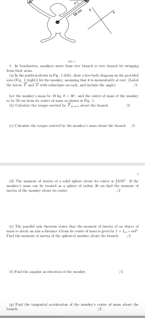 Solved FIG 1 I In brachiation, monkeys move from tree branch | Chegg.com