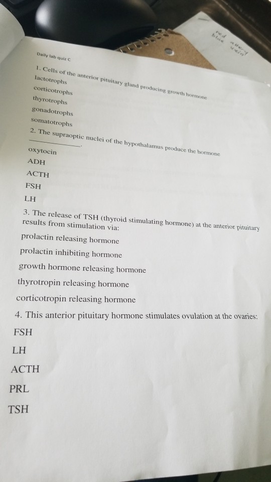 Solved Daily lab quiz C 1. Cells of the anterior pituitary | Chegg.com
