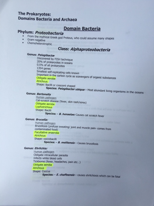 Solved Dichotomous Key Project In this activity you are | Chegg.com