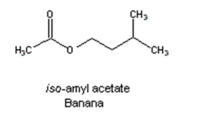 Solved Your mass spectrum of the product isoamyl acetate | Chegg.com