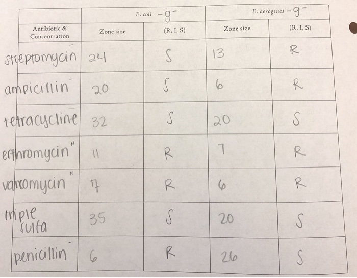 Solved Do any of the antibiotics used in this demonstration | Chegg.com