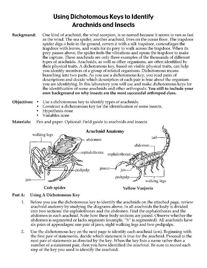 Solved Using Dichotomous Keys to identify Arachnids and | Chegg.com