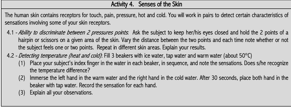 Solved Activity 4. Senses of the Skin The human skin | Chegg.com