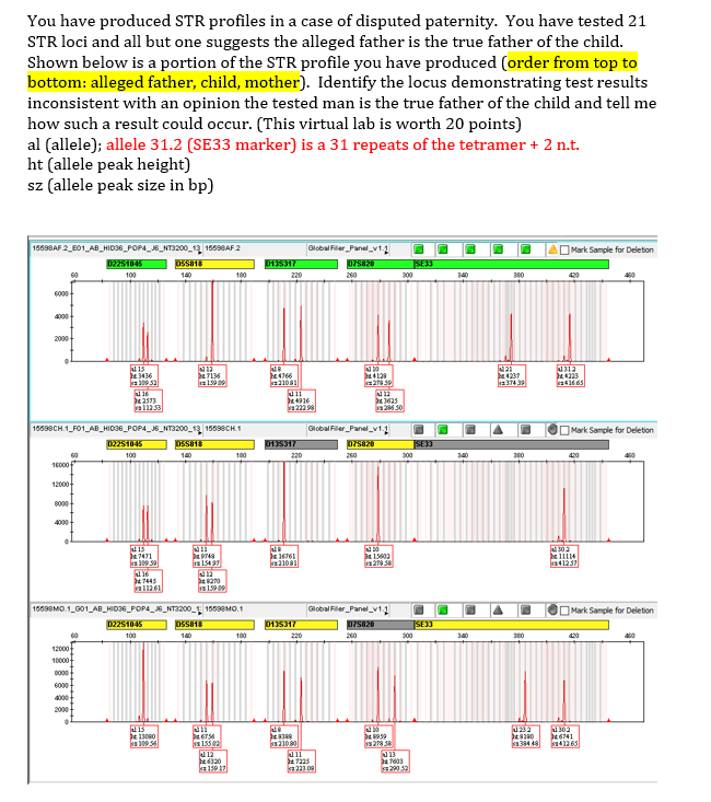 Solved You have produced STR profiles in a case of disputed | Chegg.com