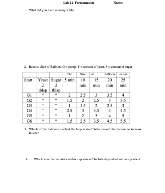 Solved Name: Lab 11- Fermentation 1. What did you learn in | Chegg.com