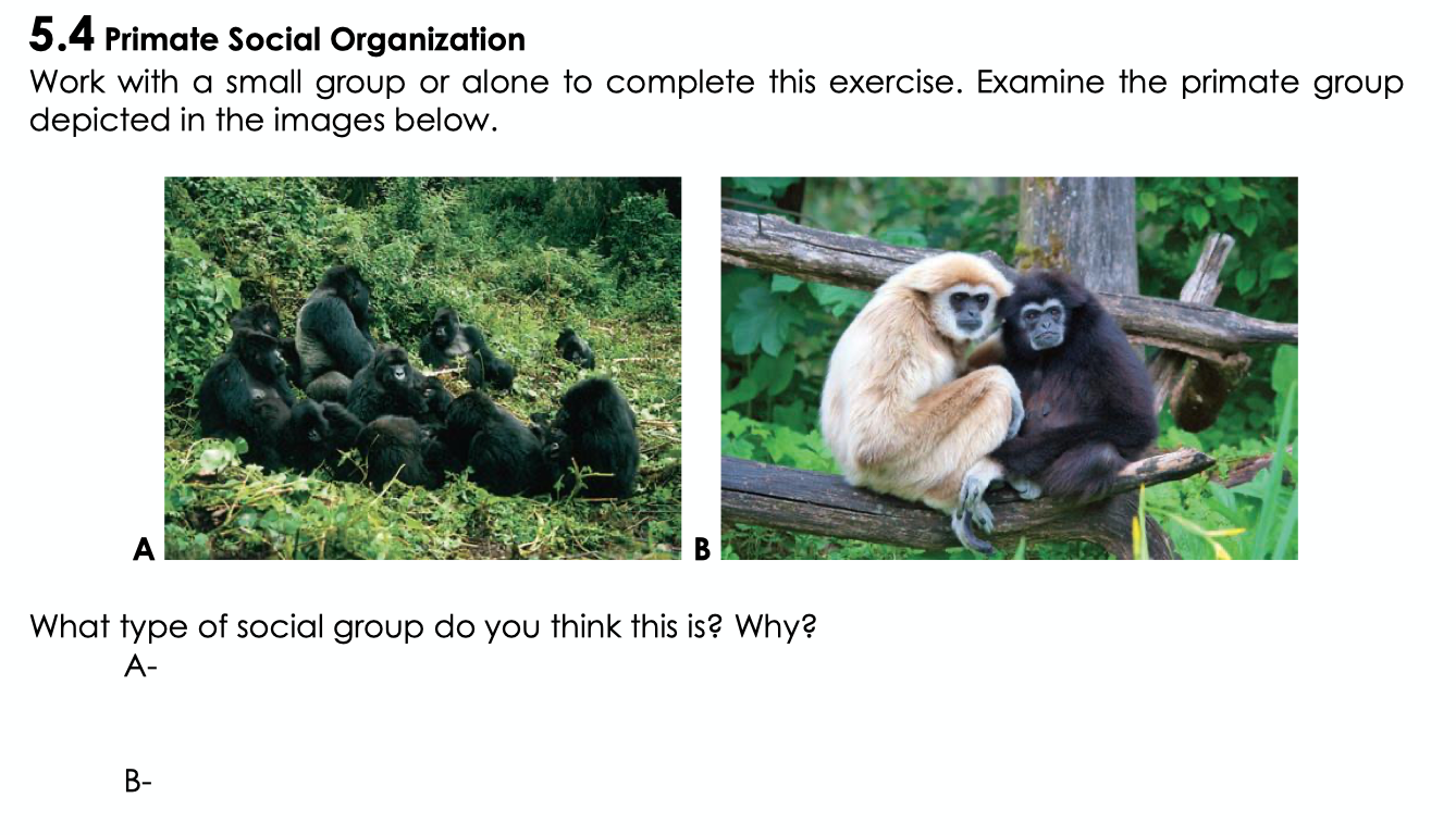 Solved 5.4 Primate Social Organization Work with a small | Chegg.com