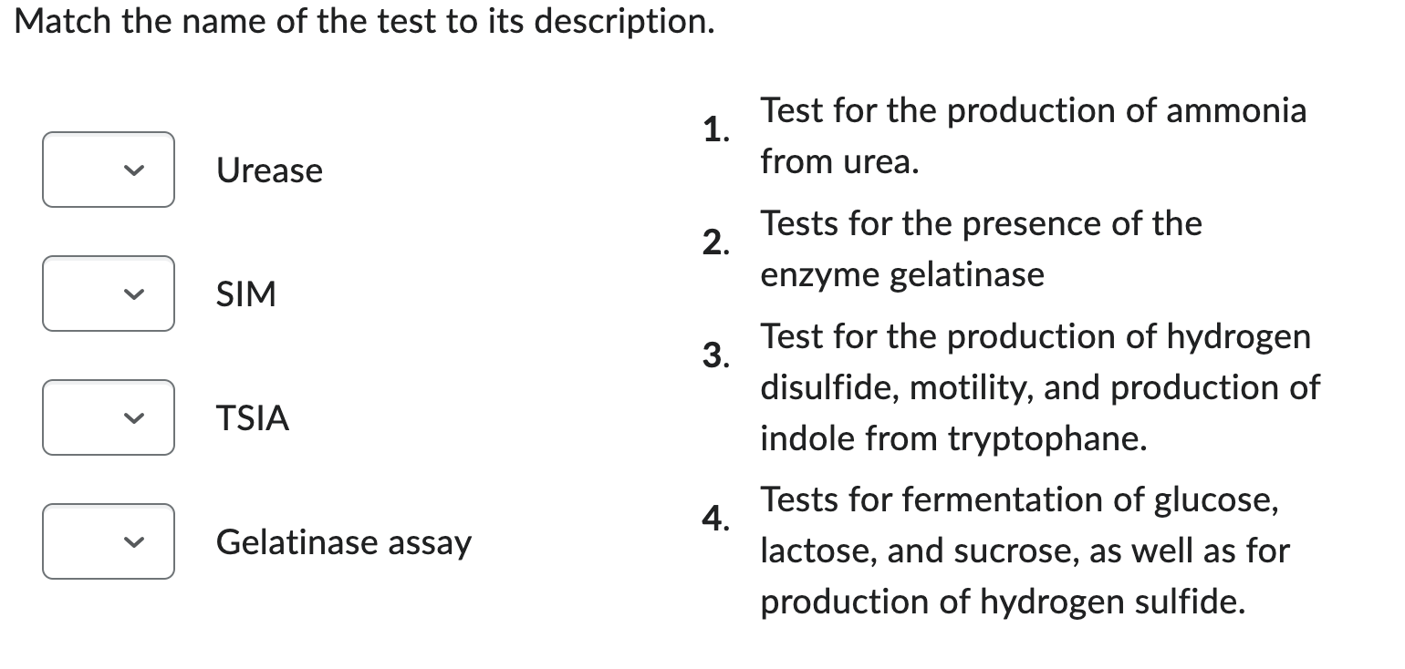 Solved Match the name of the test to its | Chegg.com