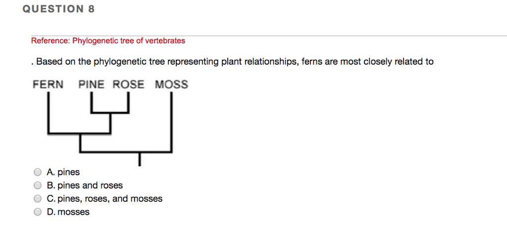Solved QUESTION 8 Reference: Phylogenetic tree of | Chegg.com