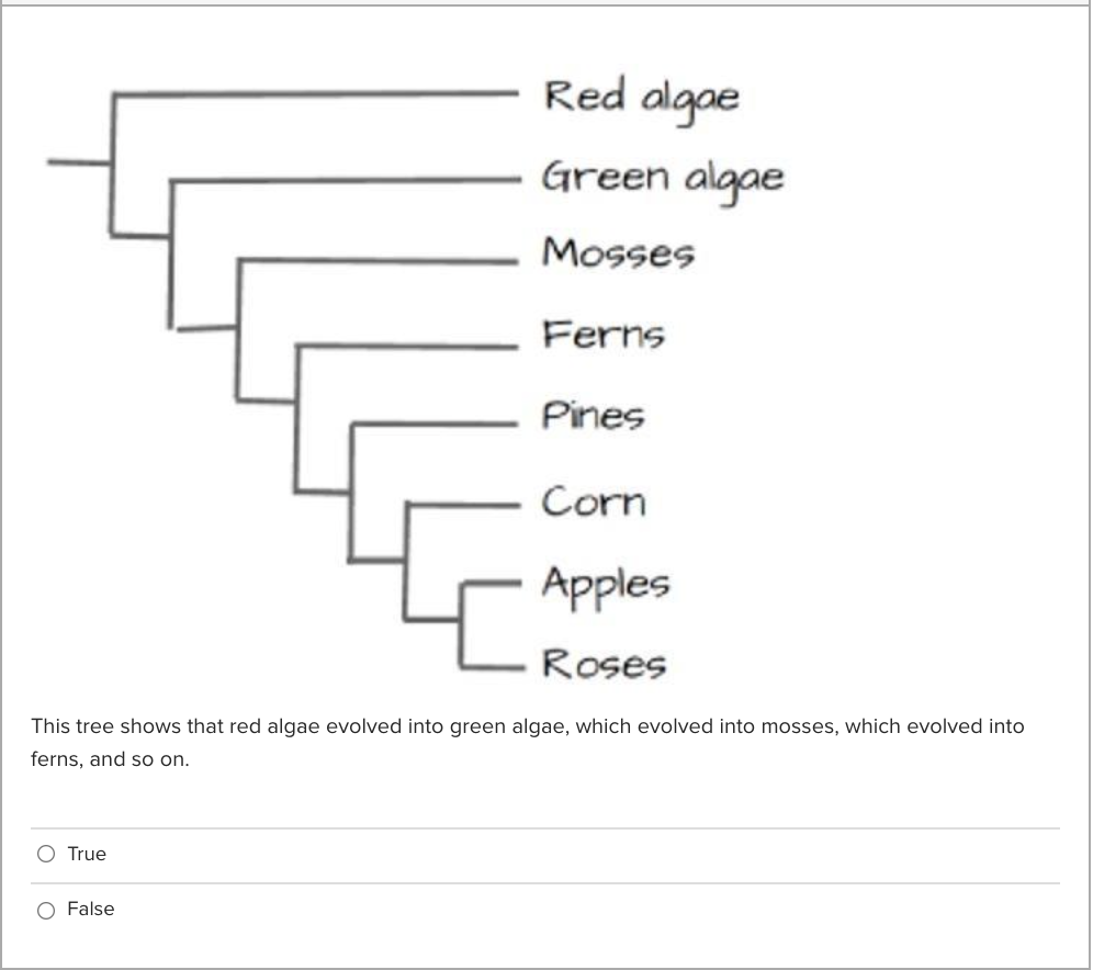 Solved Red algoe Green algae Mosses Ferns Pines Corn Apples | Chegg.com