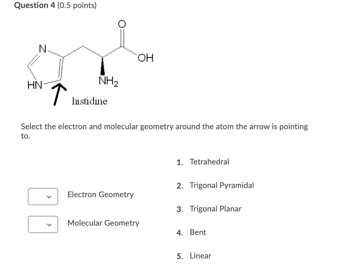 Solved Question 4 (0.5 points) N. OH HN NH2 1 histidine | Chegg.com