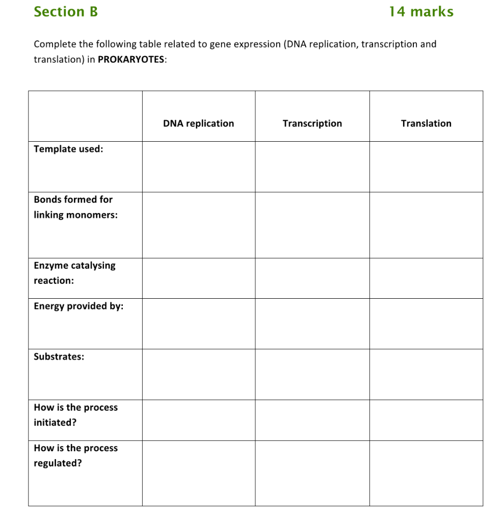 Dna Replication Transcription And Translation Chart