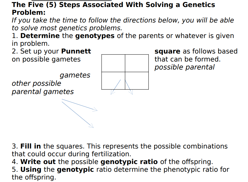Solved The Five (5) Steps Associated with Solving a Genetics | Chegg.com