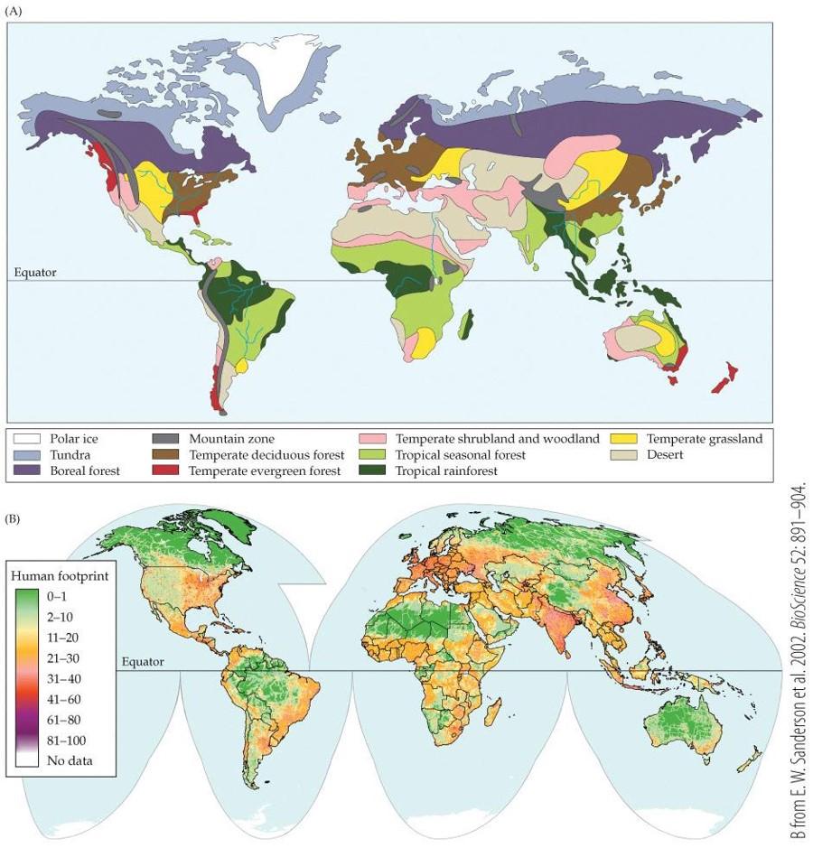 Tropical Deciduous Forest Map