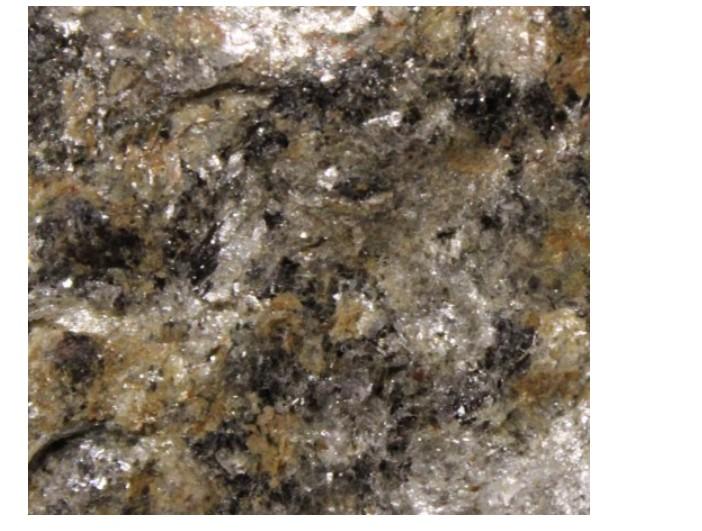 Solved Note: The metamorphic rock shown here does not react | Chegg.com