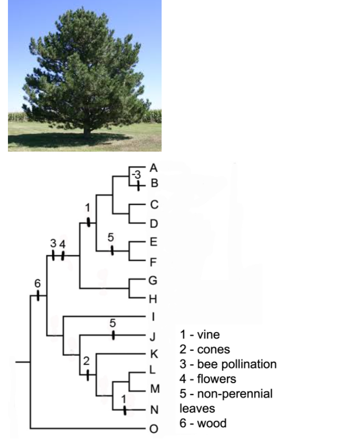 Solved **answer all parts of question correctly for | Chegg.com