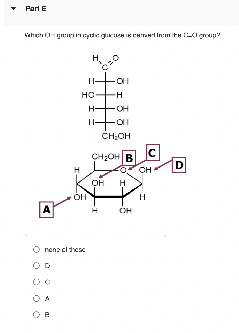 Solved Which OH group in cyclic glucose is derived from the | Chegg.com