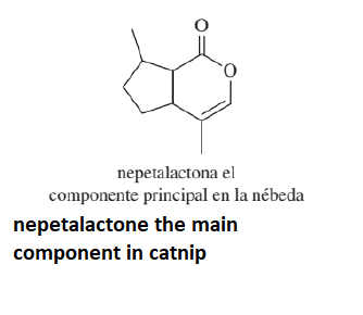 Solved Circle The Terpene Structure Shown Below Chegg