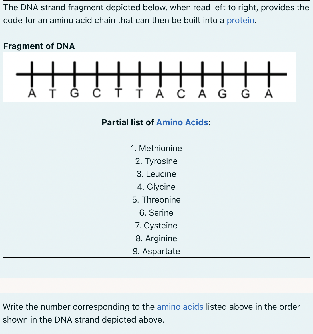 Solved The DNA strand fragment depicted below, when read | Chegg.com
