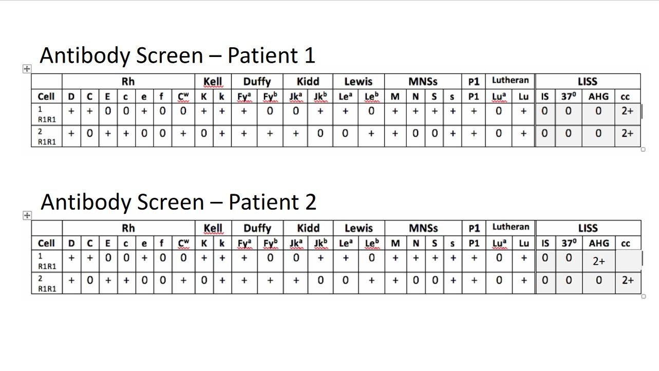 Solved An antibody screen was performed for each of | Chegg.com