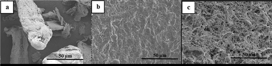 Solved SEM images: (a) purified cellulose microfibers, | Chegg.com