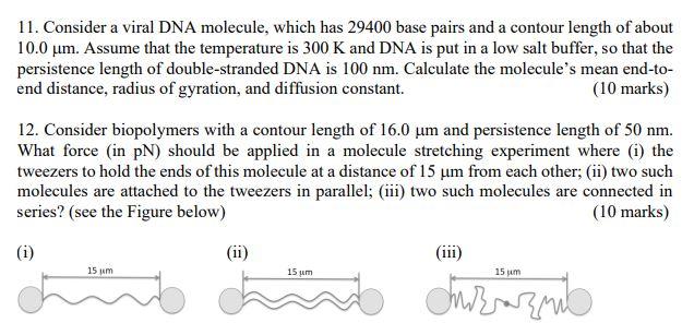 11. Consider a viral DNA molecule, which has 29400 | Chegg.com