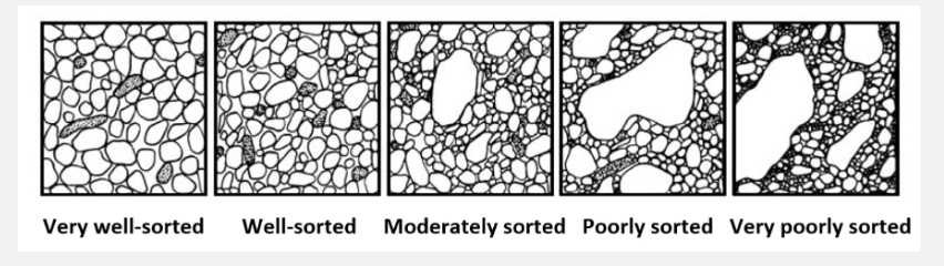 Solved Rocks that are typically homogeneous in their grain | Chegg.com