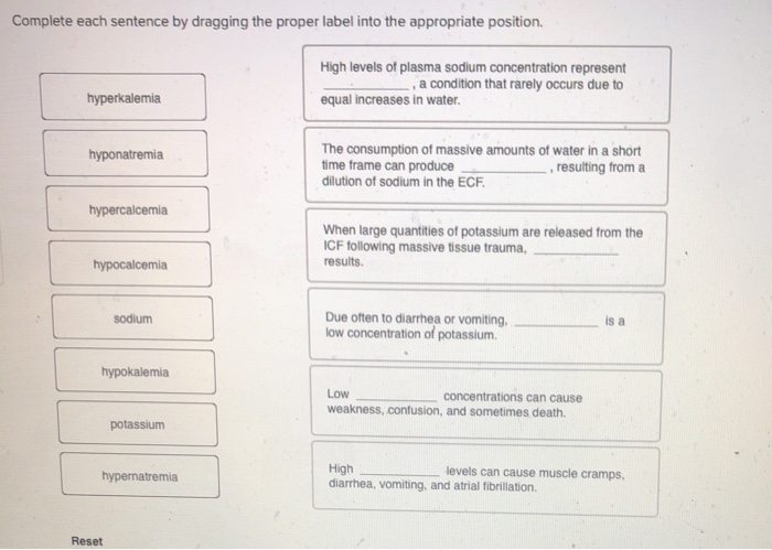 Solved Complete each sentence by dragging the proper label | Chegg.com