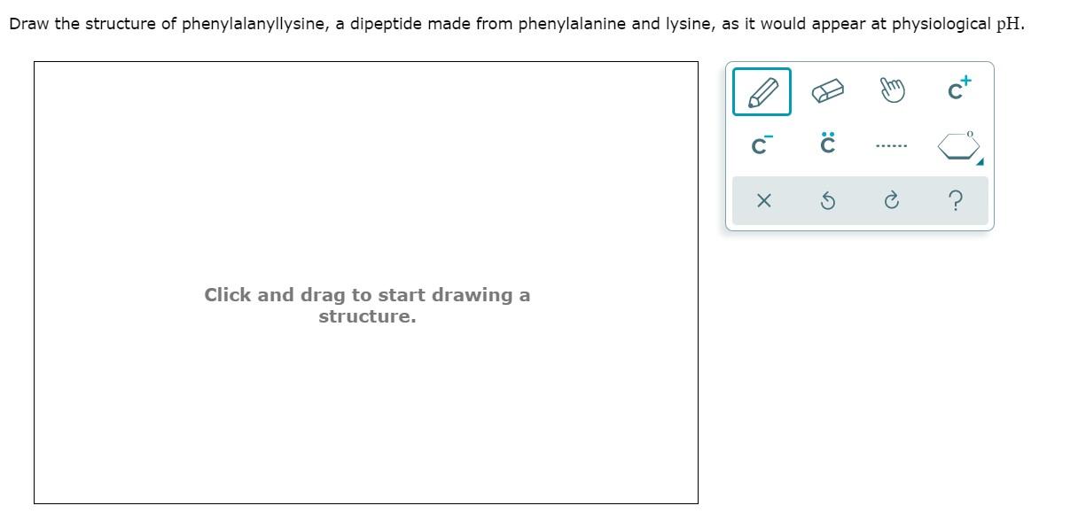 Solved Draw the structure of phenylalanyllysine, a dipeptide | Chegg.com