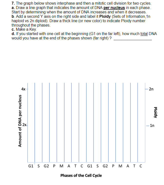 Solved 7. The graph below shows interphase and then a | Chegg.com